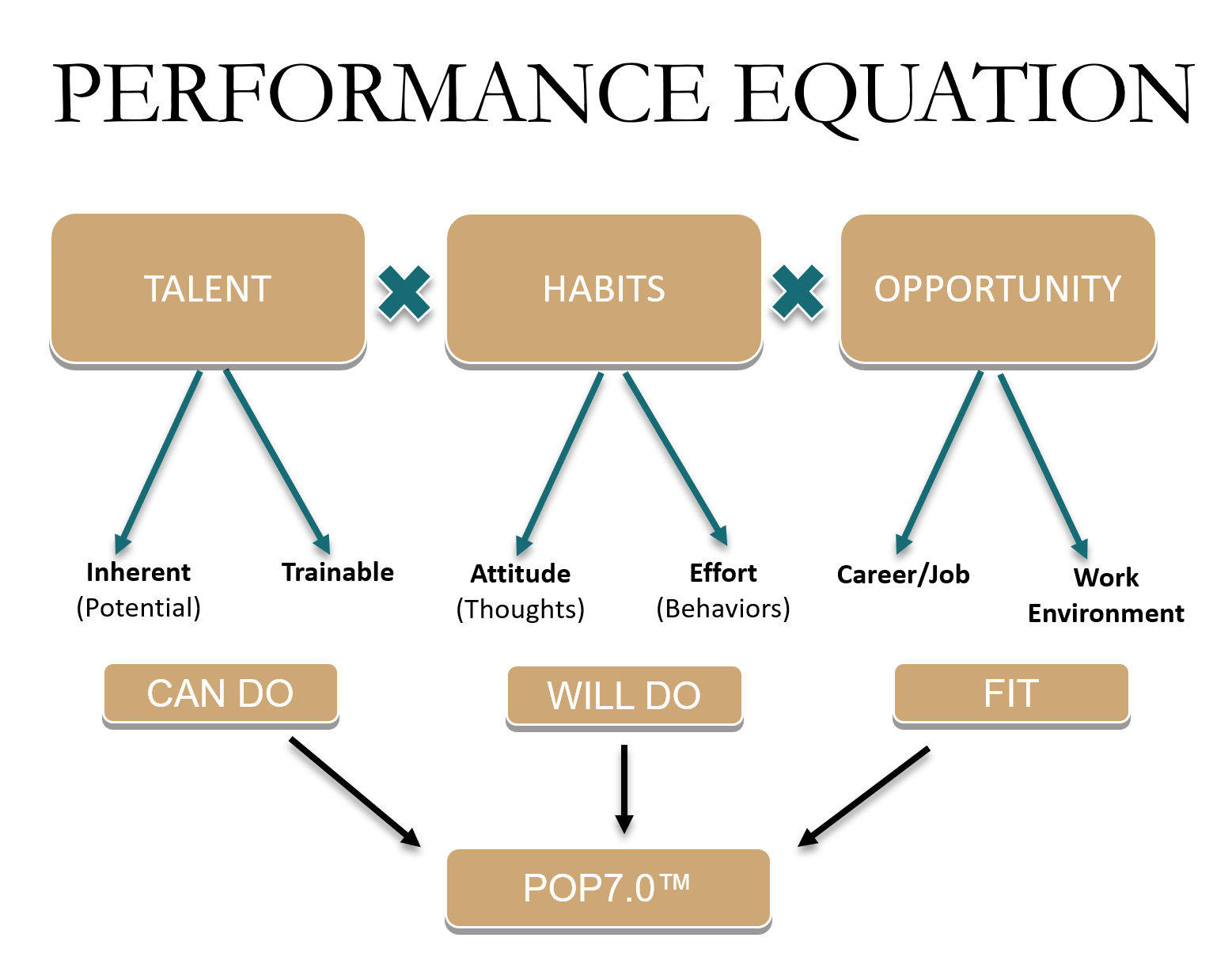 Coaching – Total Relationship Marketing